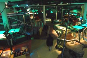 Ecomare - Museum | Texel