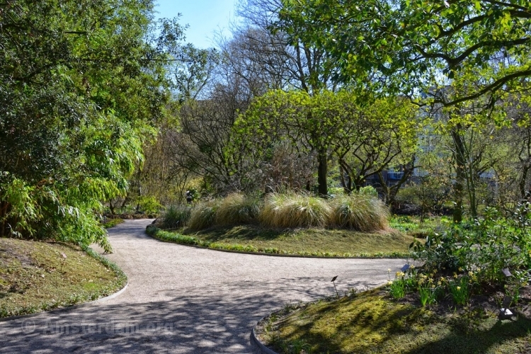 De Hortus - Museum | Amsterdam