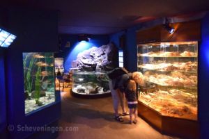 Sea Life Scheveningen - Attraction | Scheveningen