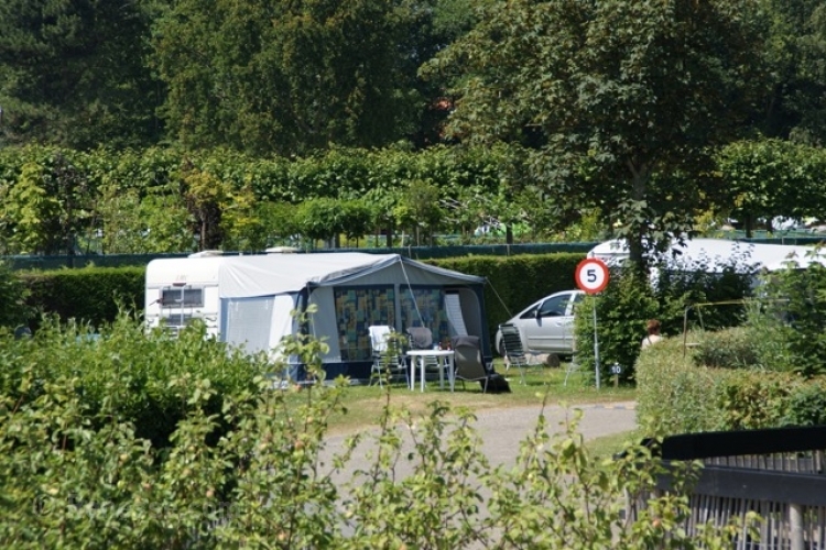 Vakantiepark Zonnedorp - Camping | Renesse