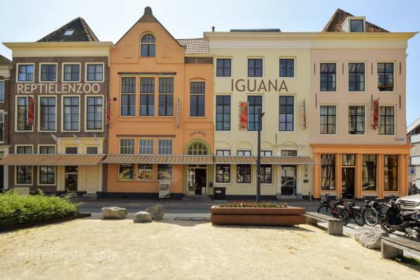 Reptile Zoo Iguana - Attraction | Domburg
