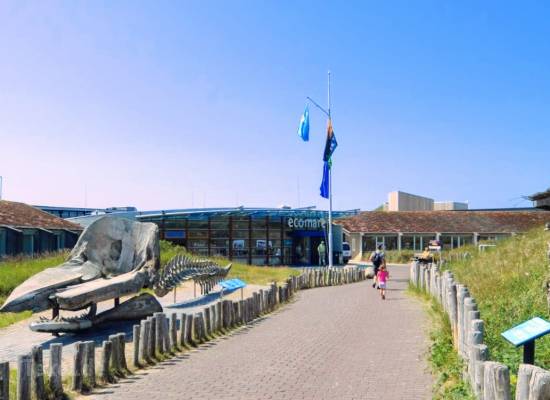 Ecomare - Museum | Texel